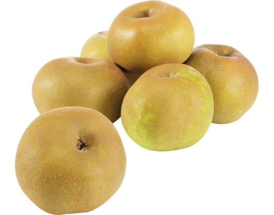 9 variedades de maçãs e as suas características | VortexMag